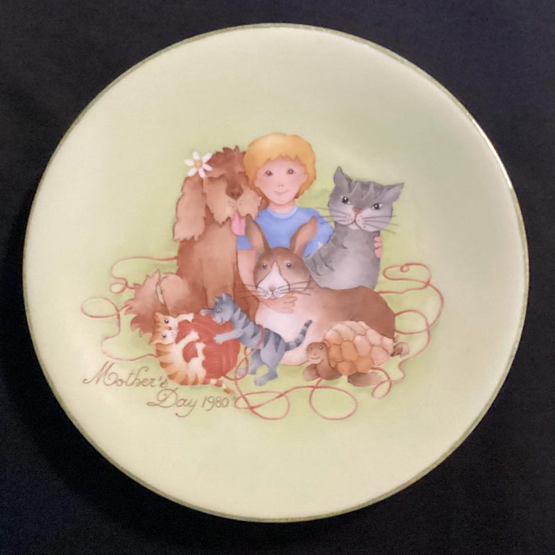 Limoges Children Plate - Etsy