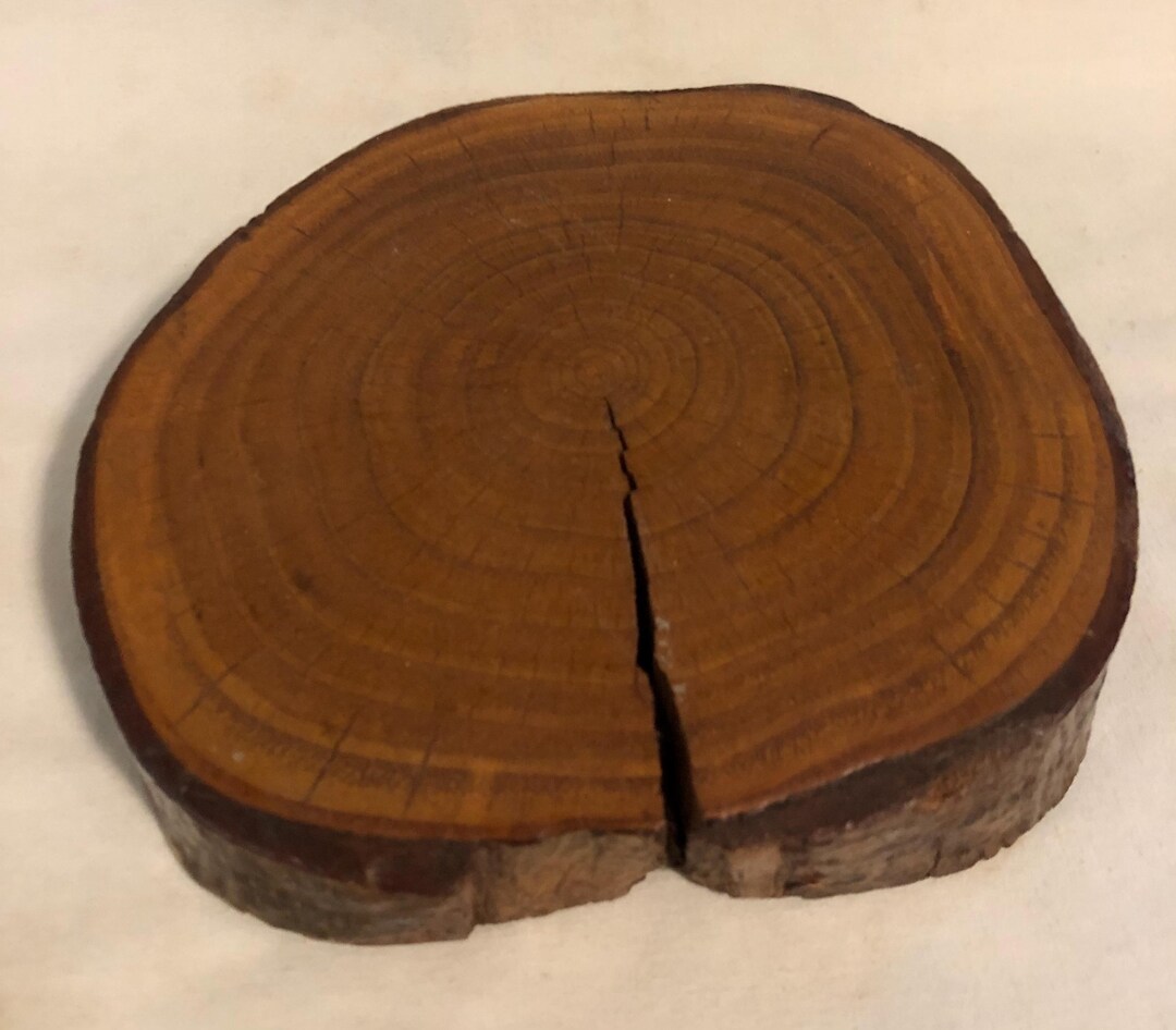 1978 American Chestnut Wood Slice Boy Scout Project - Etsy