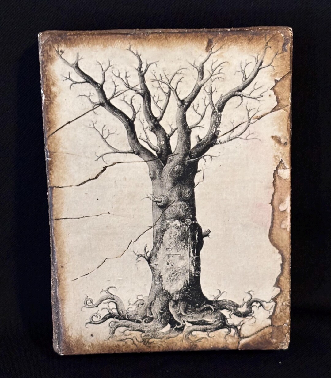 Sid Dickens Medieval Tree of Life Ceramic Memory Block - Etsy