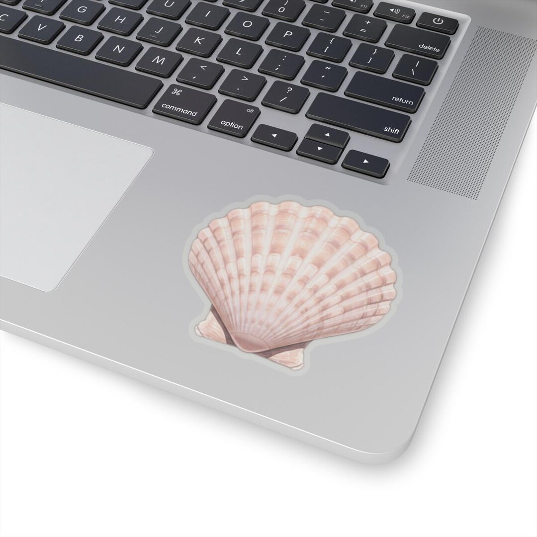 Die Cut Seashell Sticker - Pale Pink - Mauve and Pale Cream Colors ...