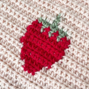 Crochet Pattern - Strawberry Dream Baby Blanket - Etsy