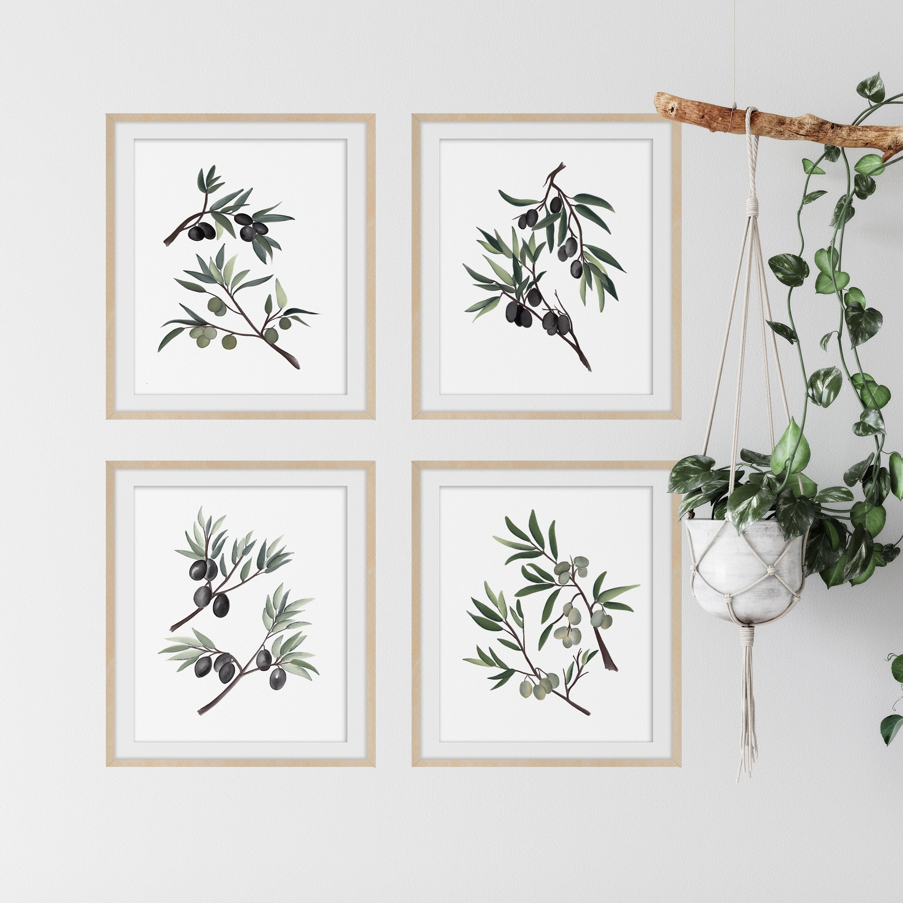 Botanical Print Set of 4 Olive Branch Print Wall Art Set - Etsy