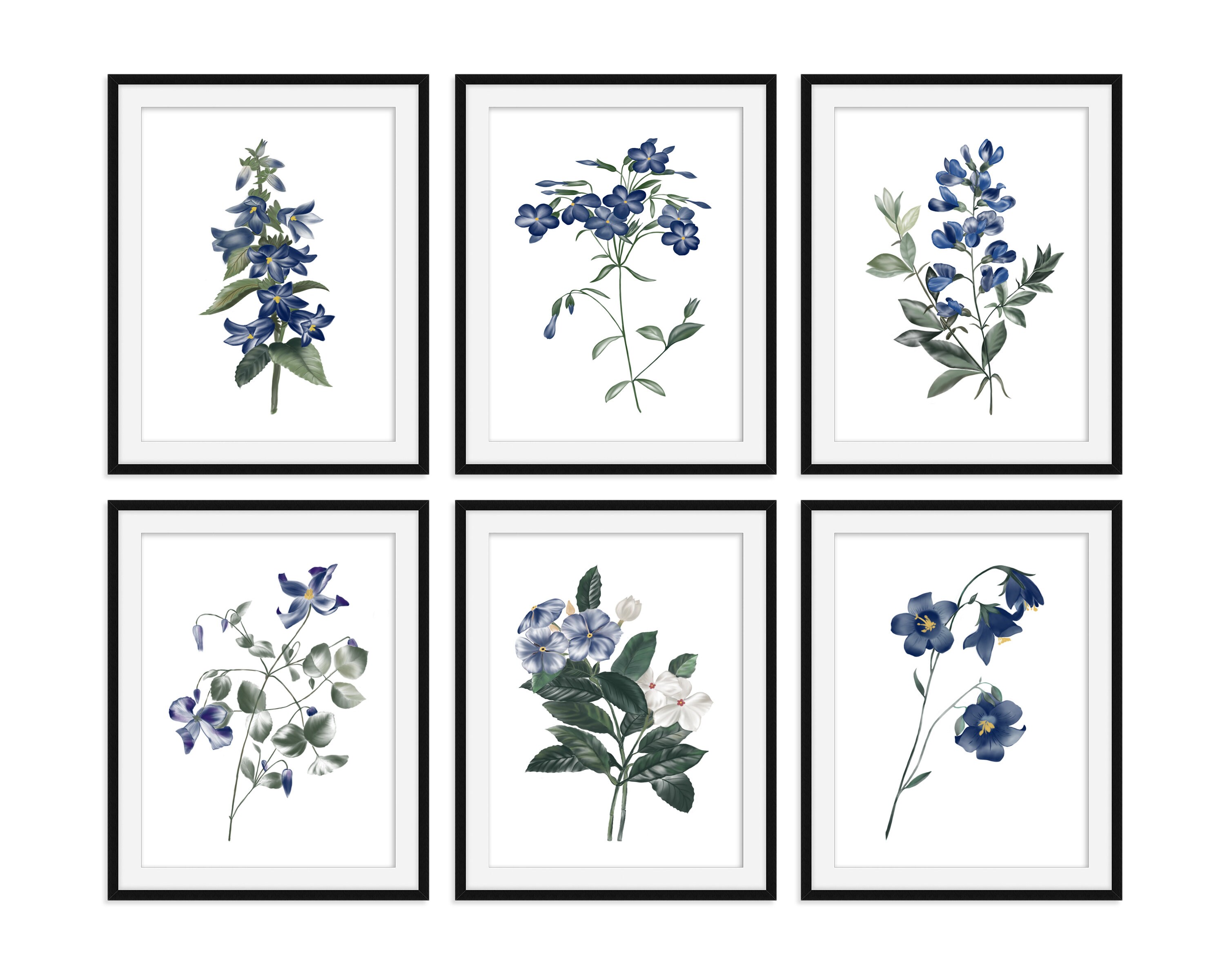 Flower Print Set of 6 Botanical Art Prints Blue Flower - Etsy UK