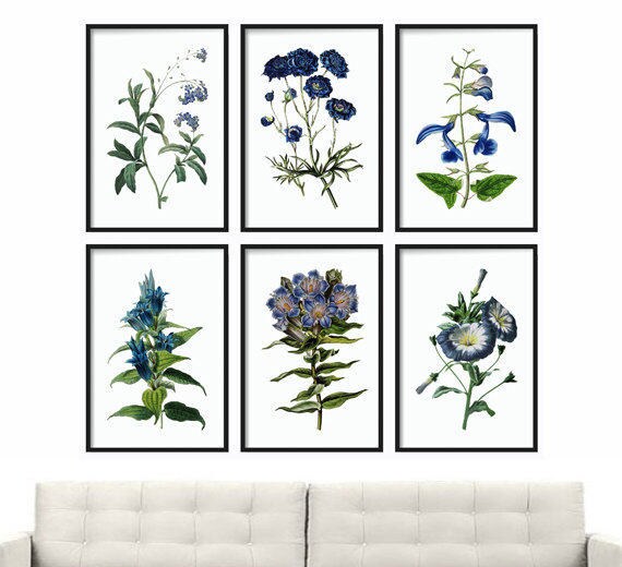 Flower Print Set of 6 Botanical Art Prints Wild Flower | Etsy