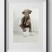 Elephant Sitting on Toilet Bathroom Humor Funny Bathroom - Etsy