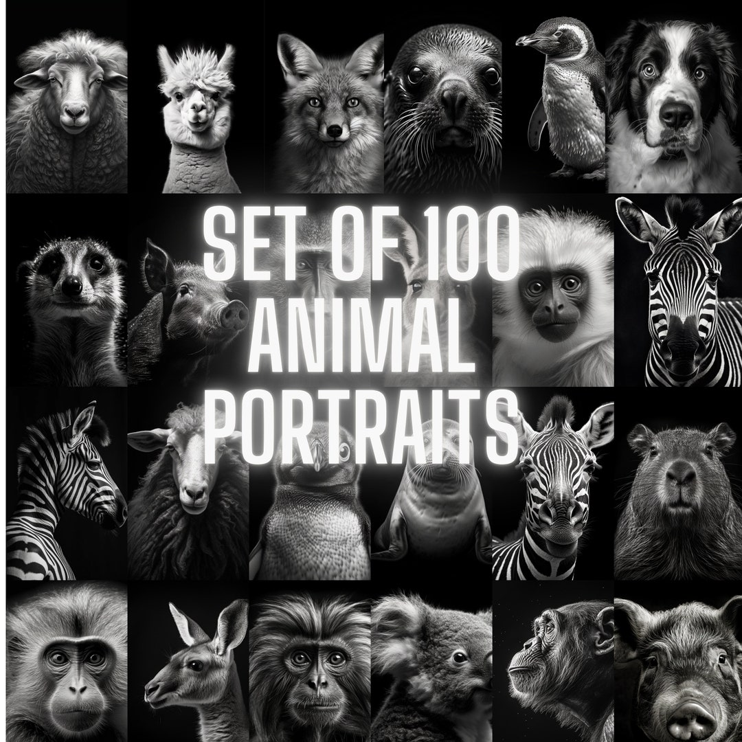 Animal Wall Art Set of 100 Black and White Posters, Instant Download ...