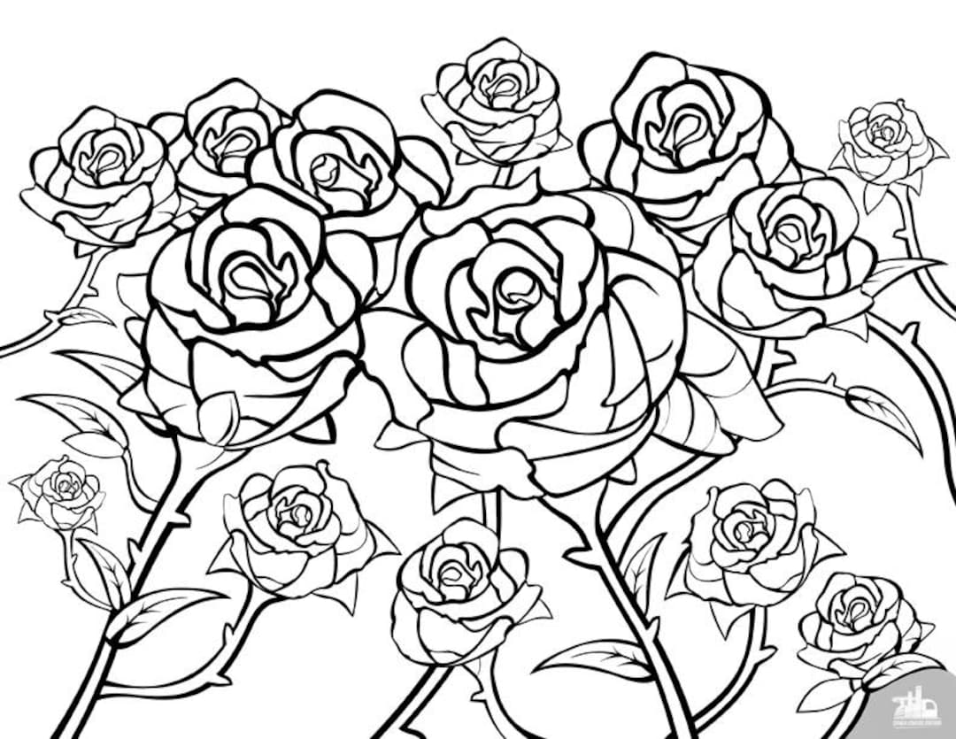 Texas Roses Coloring Sheet - Etsy