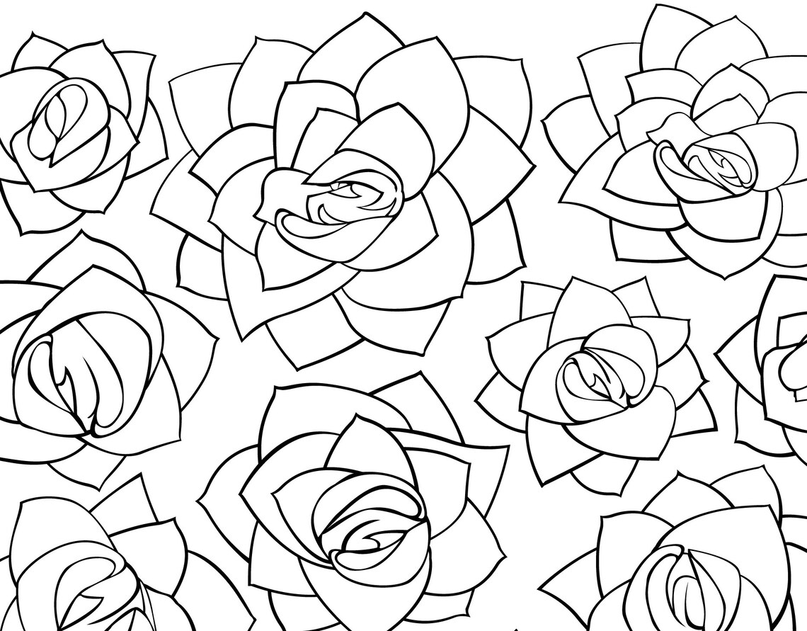 Succulent Coloring Sheet | Etsy