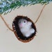 Sleeping Hedgehog in a Walnut Shell Needle Felted Hedgehog - Etsy UK