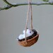 Sleeping Hedgehog in a Walnut Shell Needle Felted Hedgehog - Etsy UK
