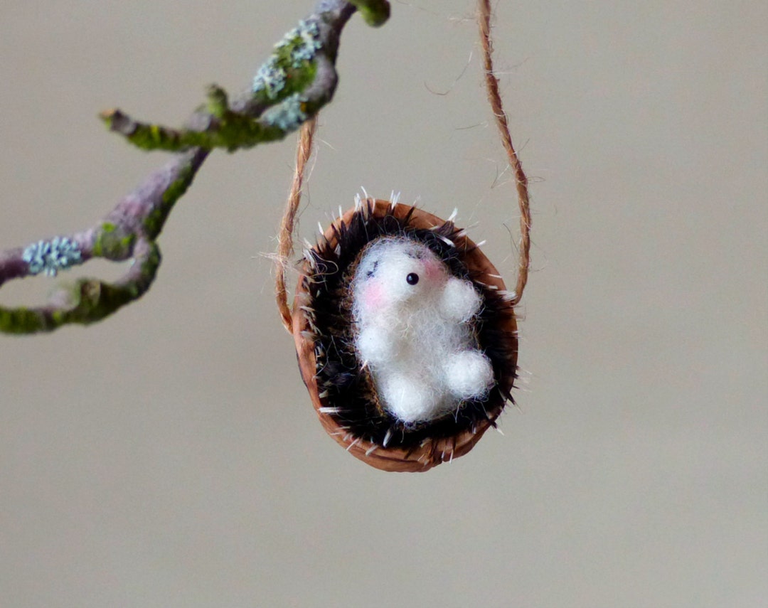 Sleeping Hedgehog in a Walnut Shell Needle Felted Hedgehog - Etsy