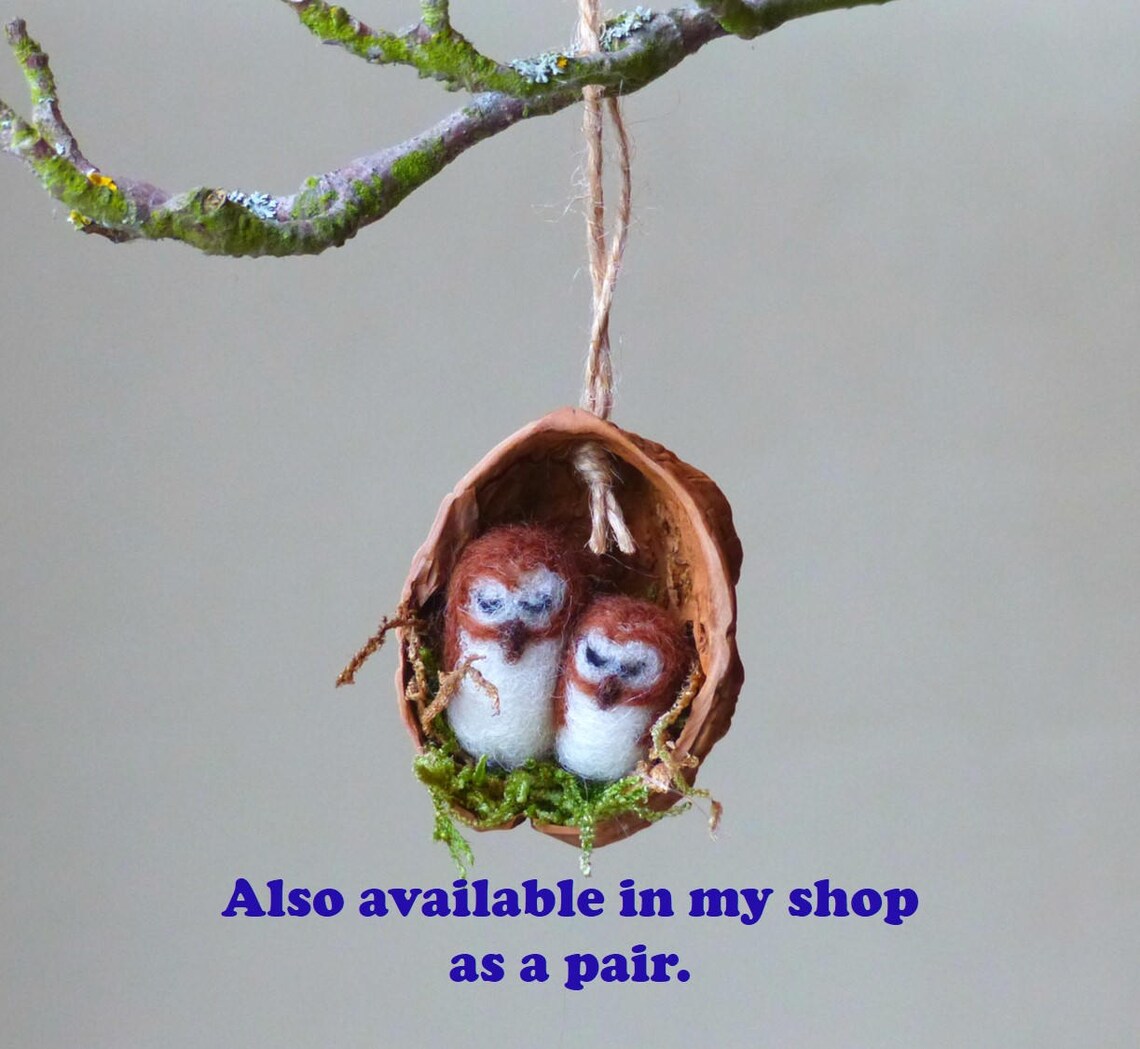 Sleeping Owl in a Walnut Shell Needle Felted Ornament Gift - Etsy Australia