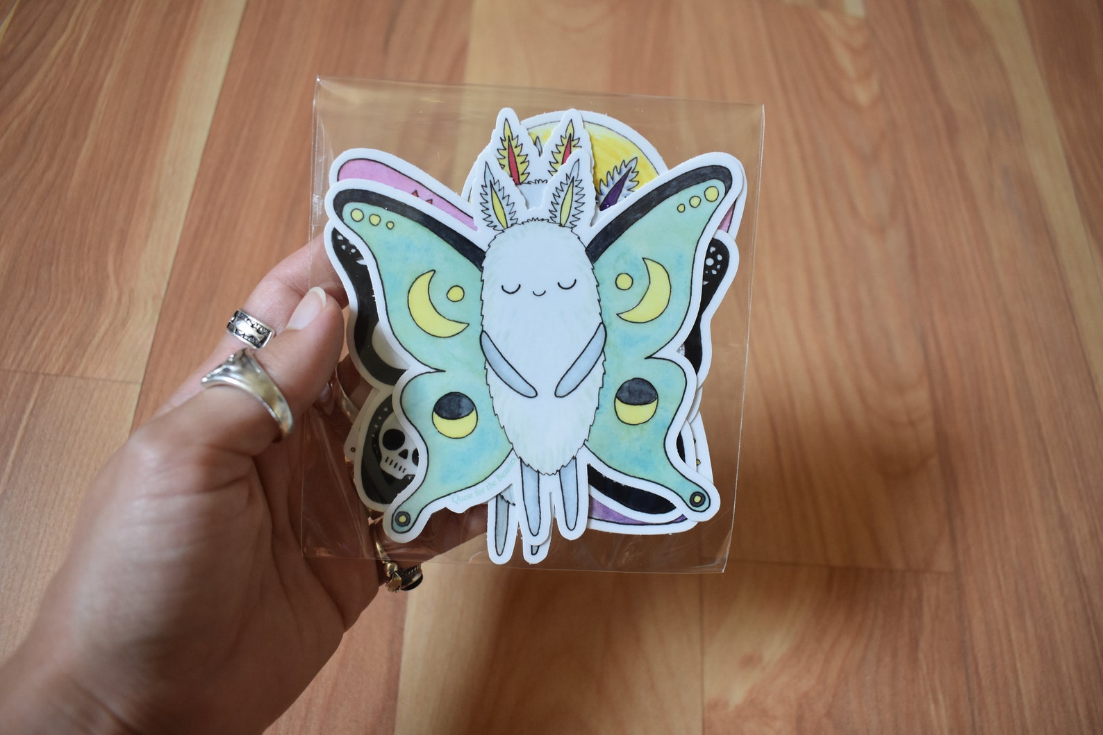 4 Pack Moth Sticker Set Cute Assorted Moths Vinyl Stickers | Etsy