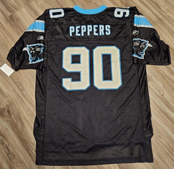 2002 large carolina Panthers jersey,julius peppers je… - Gem