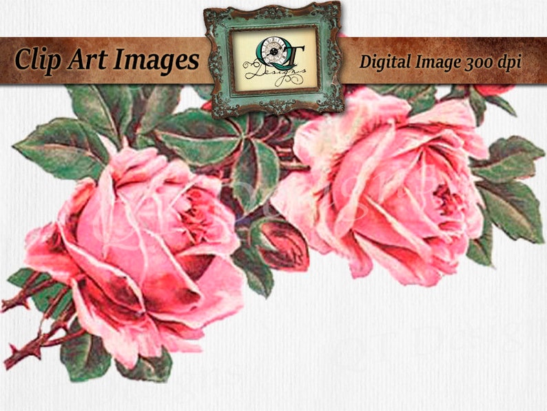 Boho Western Clip Art Pack Mounted Deer Head Blank Scroll Blue Etsy