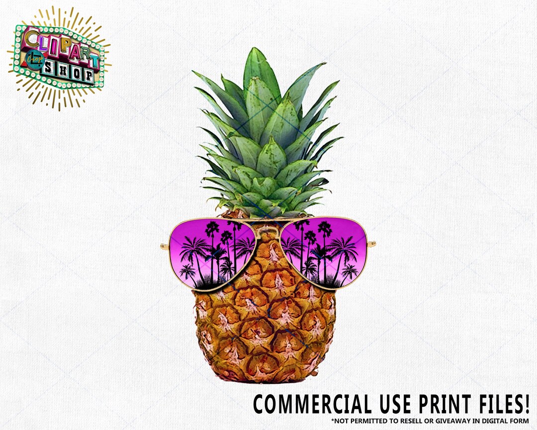 Summer Clipart Gallery Art - Pineapple 001 - Individual Image ...