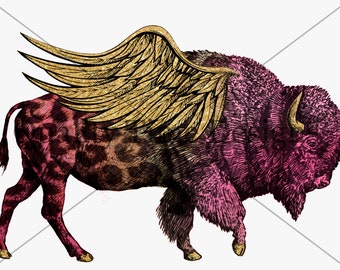 Native American Buffalo Clipart Png