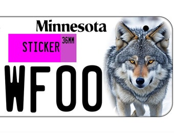 Minnesota 24FD1 ATV/UTV 4X7.50 License Plate - Etsy