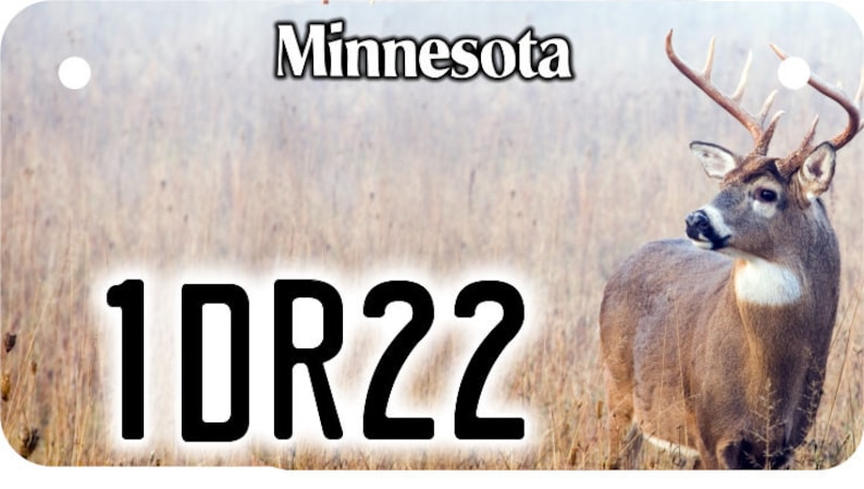 Minnesota ATV Plate, 4x7.50 Deer 1DR22 - Etsy