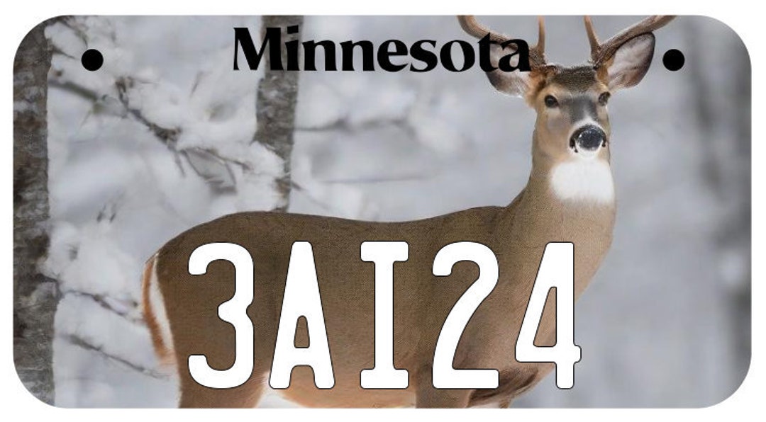 Minnesota 3AI24 ATV/UTV 4X7.50 License Plate - Etsy
