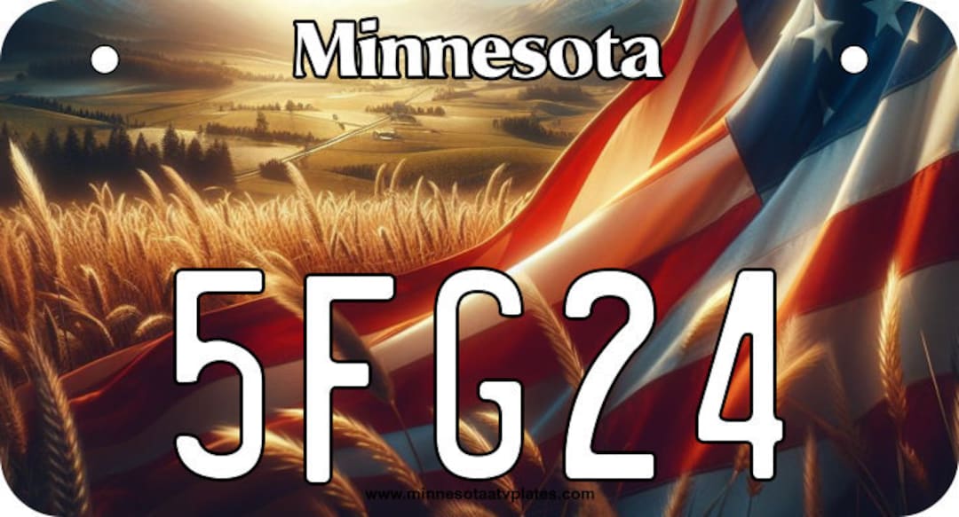 Minnesota ATV Plate, 4x7.50 Flag MN 24 - Etsy