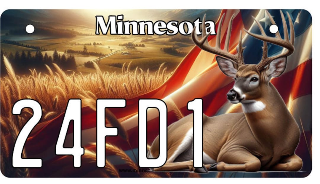 Minnesota 24FD1 ATV/UTV 4X7.50 License Plate - Etsy