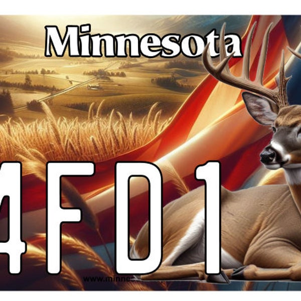 License Plate Frames - Etsy