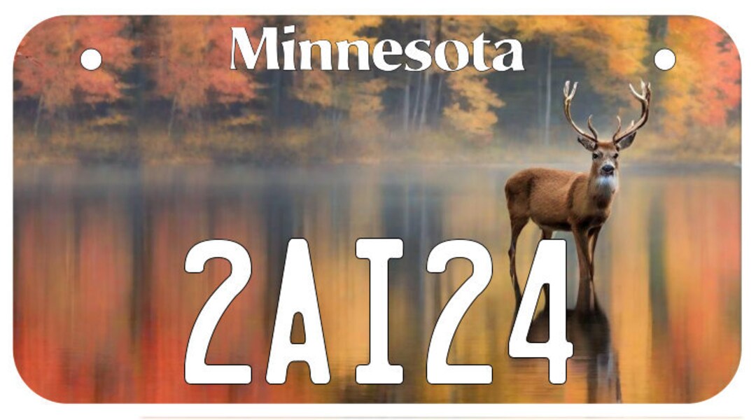 Minnesota 2AI24 ATV/UTV 4X7.50 License Plate - Etsy