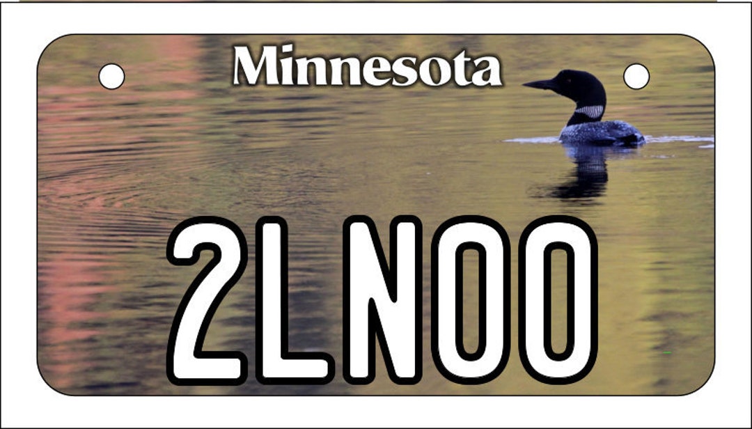 Minnesota ATV Plate, 4x7.50 Loon 2LN00 - Etsy