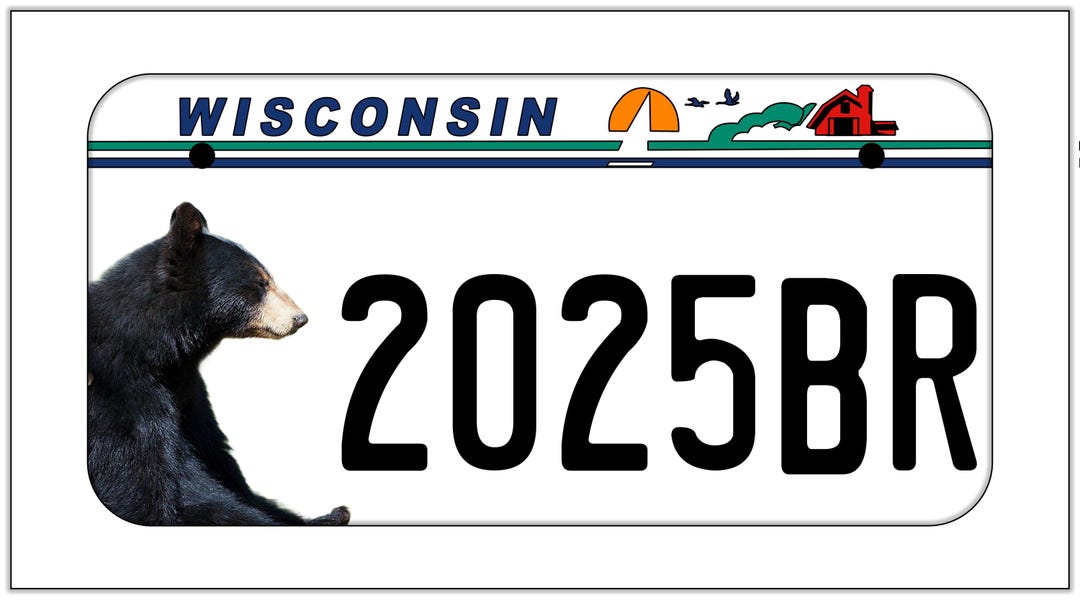 Wisconsin "5x10 Bear" ATV/UTV License Plate - Etsy