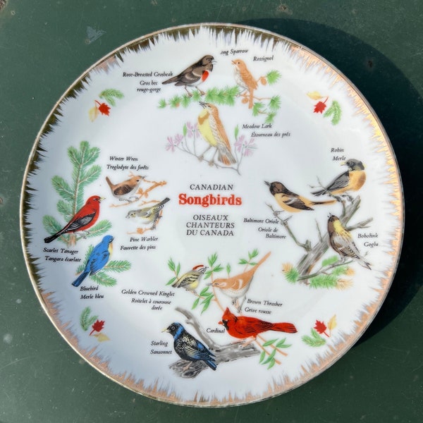 Collectors Plate - Etsy