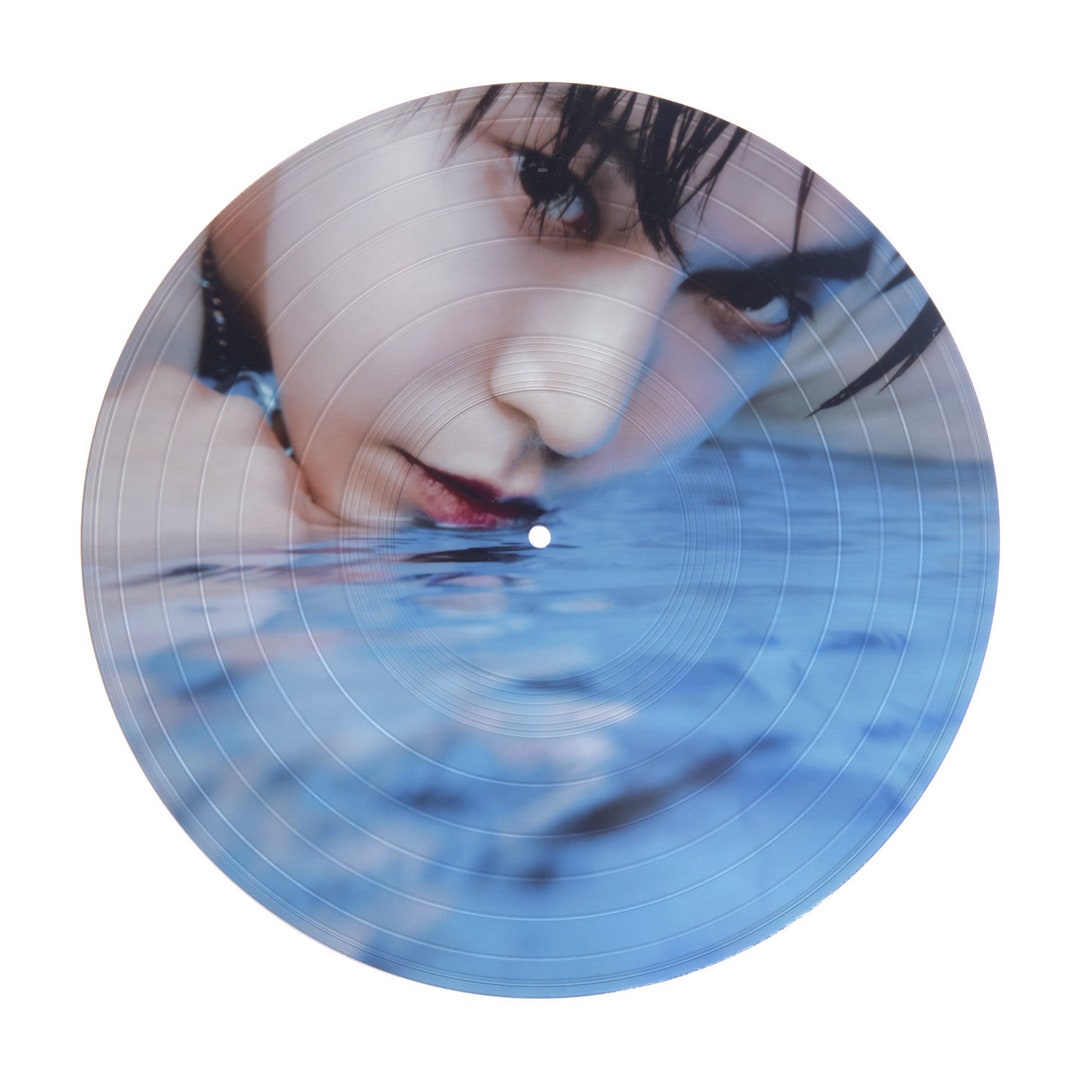 Picture Disk Vinyl Record = Your Picture and Your Songs on Vinyl Two ...