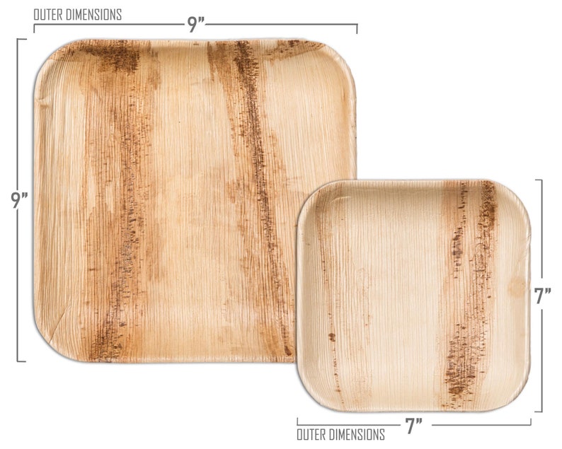 100% Compostable Biodegradable Square Palm Leaf Eco-friendly Natural ...