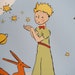 Antoine DE SAINT EXUPERY After the Little Prince, the Fox and Stars ...