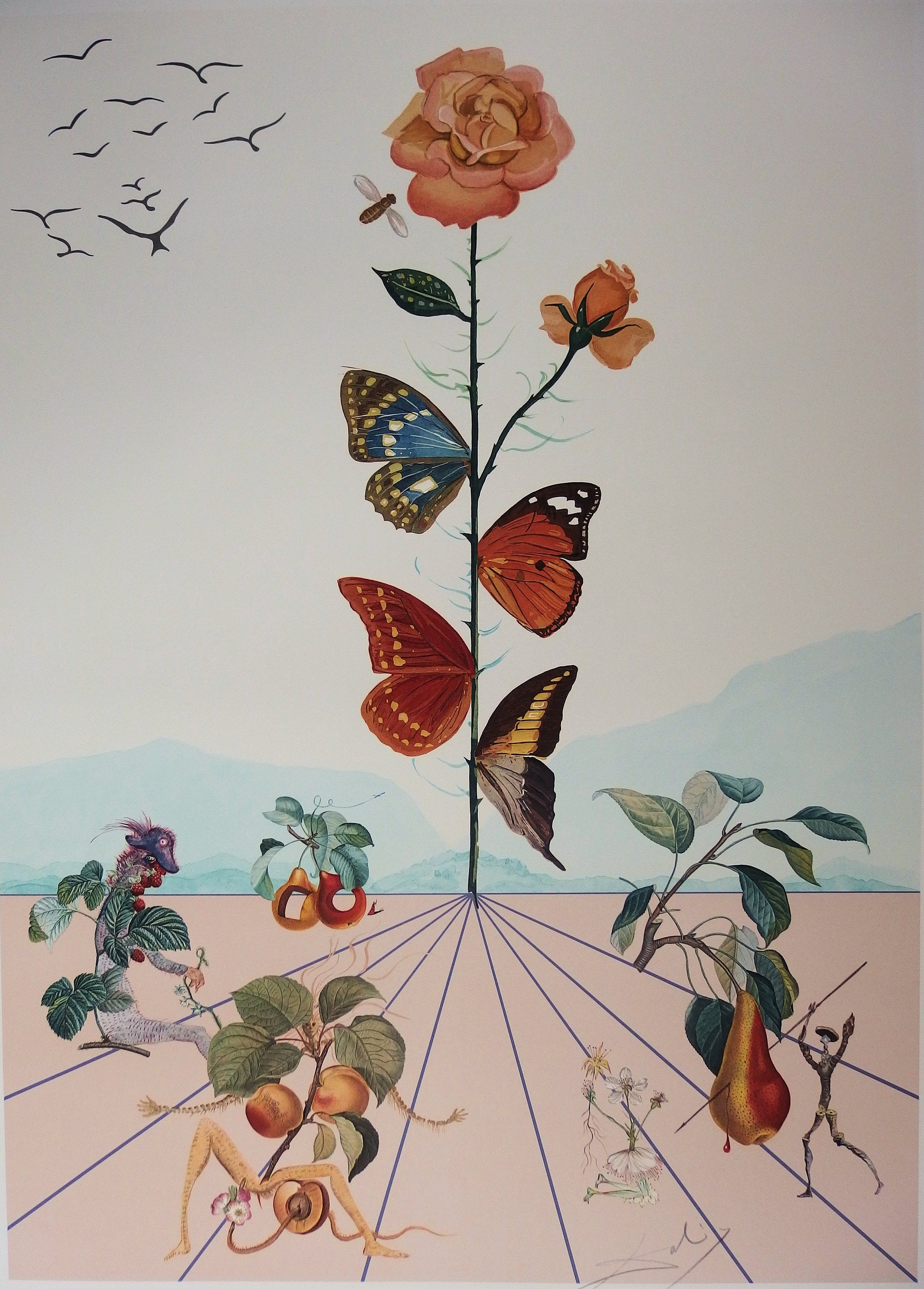 Salvador Dali Paintings Butterfly