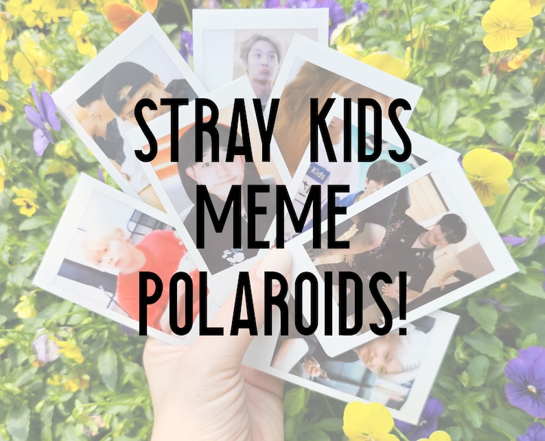 Stray Kids Meme Polaroids! - Etsy