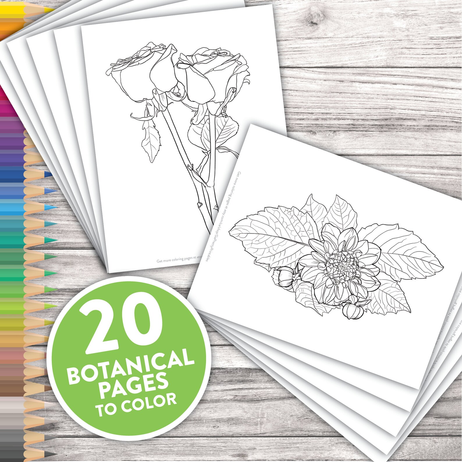 Printable Adult Coloring Pages Botanical Floral Sketches | Etsy