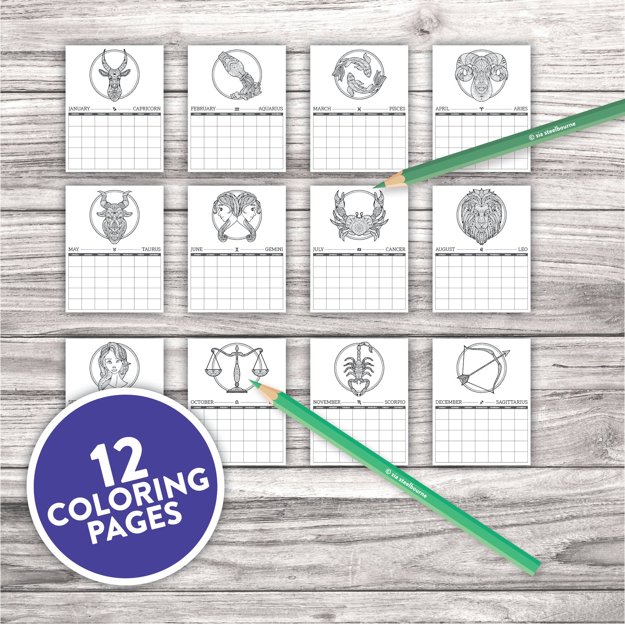 Zodiac Printable Coloring Calendar Desktop Calendar or Planner Insert ...