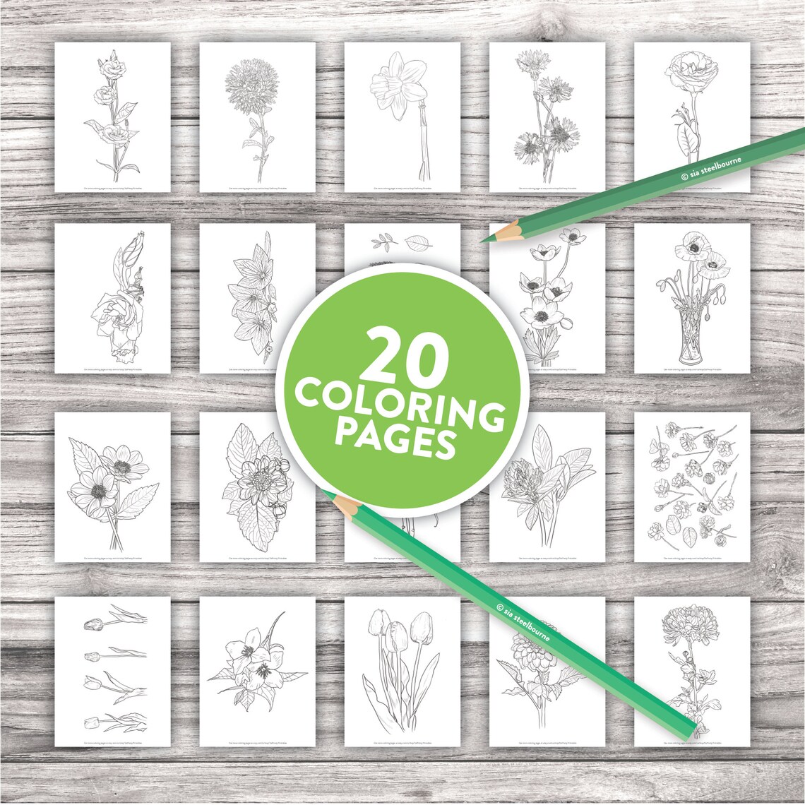 Printable Adult Coloring Pages Botanical Floral Sketches | Etsy