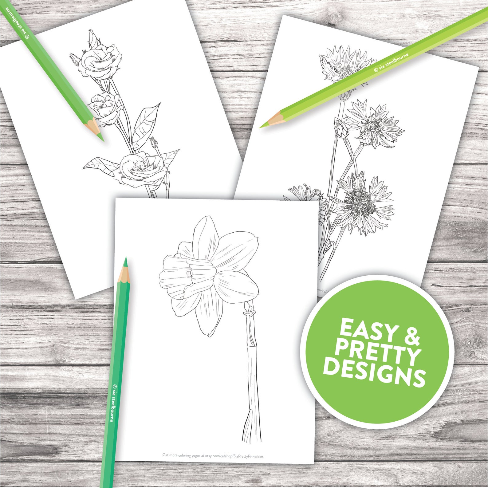 Printable Adult Coloring Pages Botanical Floral Sketches - Etsy