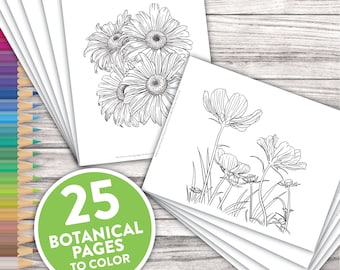 10 Printable Adult Coloring Pages | Botanical Floral Sketches Drawings ...