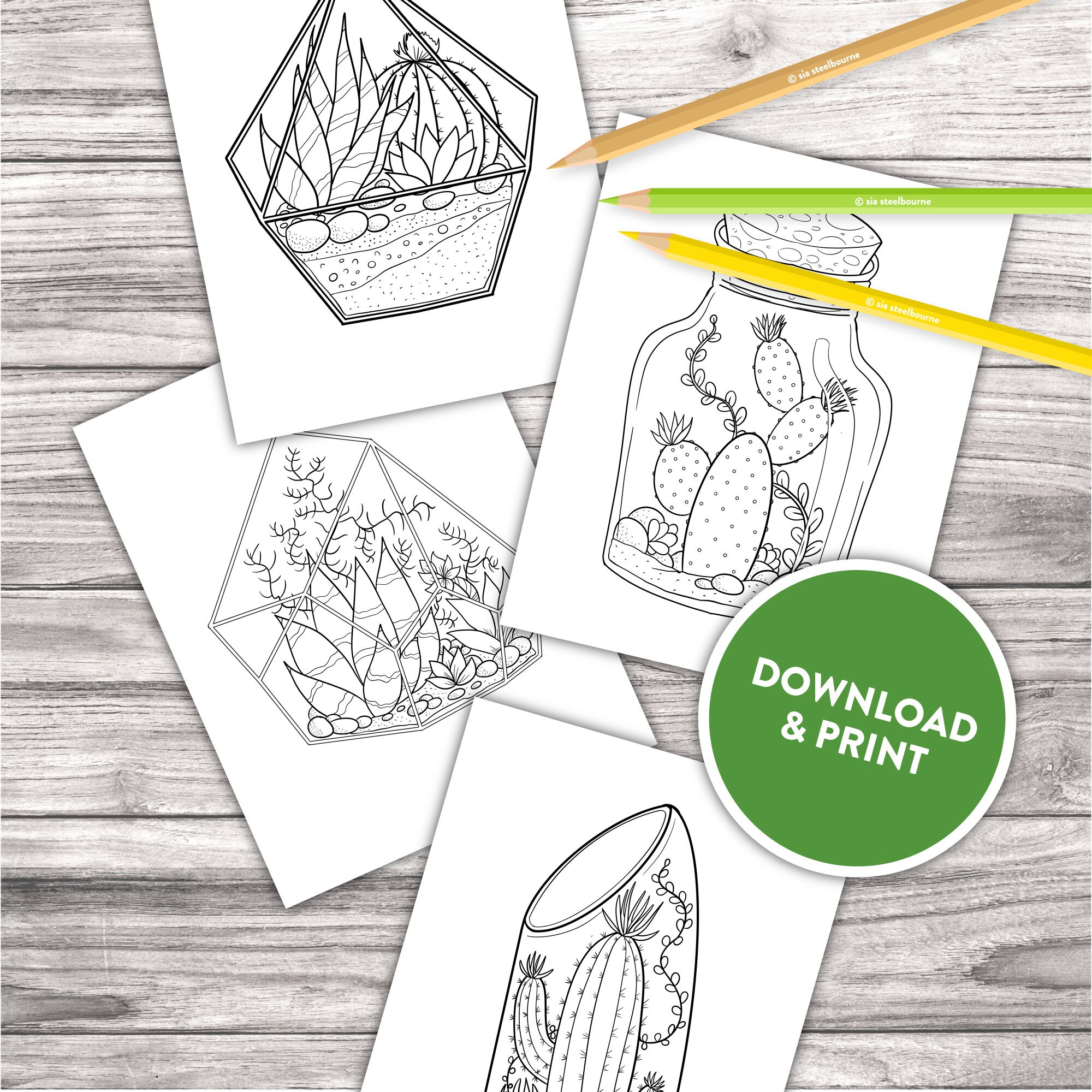 Terrarium Coloring Pages | 10 Cute Plant Designs (digital Download ...