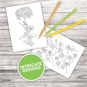 Printable Adult Coloring Pages Botanical Floral Sketches | Etsy