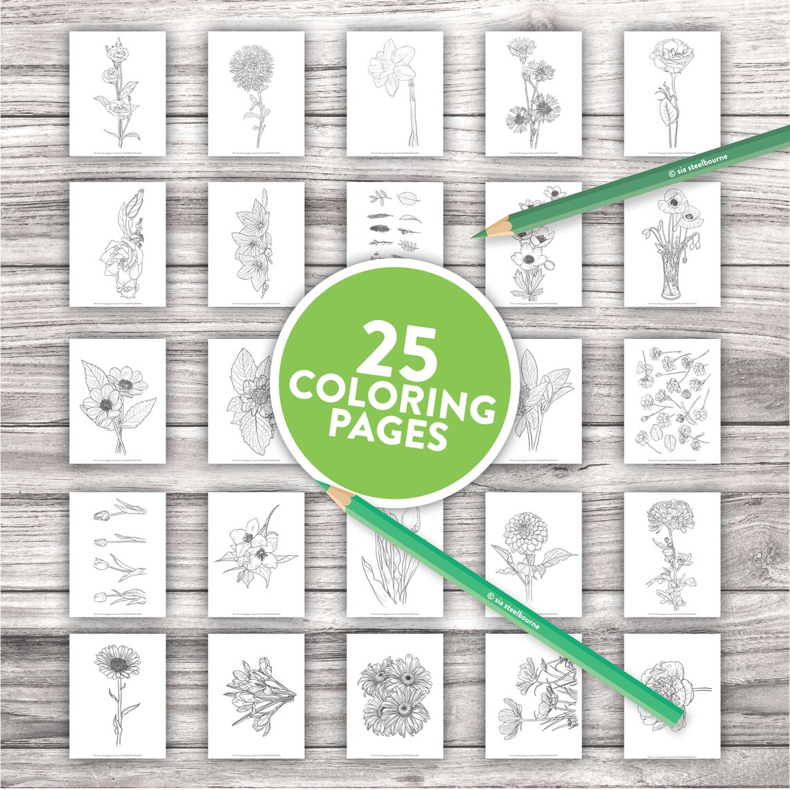 Printable Adult Coloring Pages Botanical Floral Sketches - Etsy