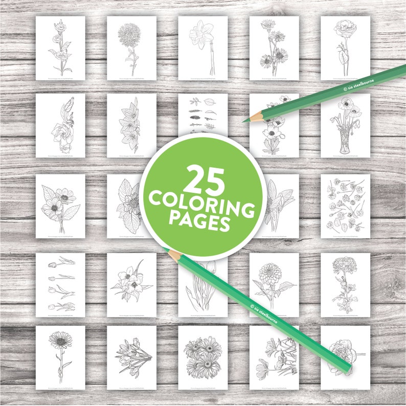 Printable Adult Coloring Pages Botanical Floral Sketches - Etsy