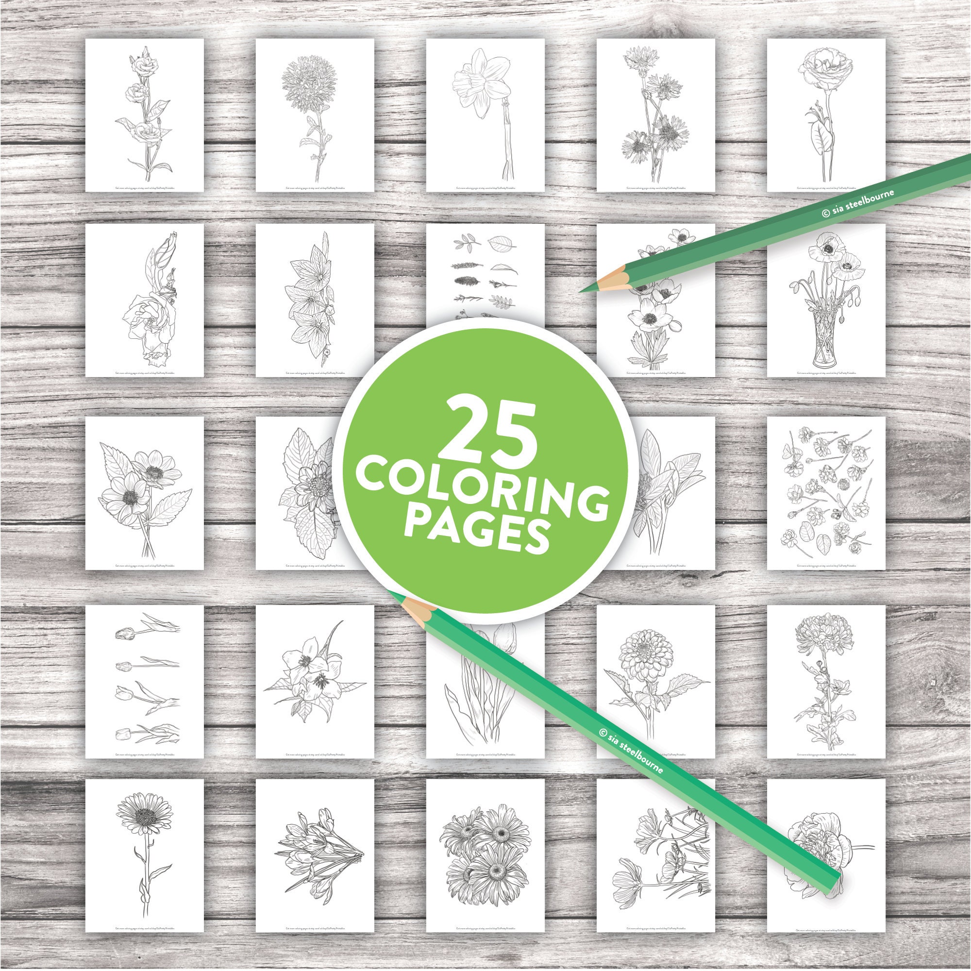 Printable Adult Coloring Pages Botanical Floral Sketches - Etsy