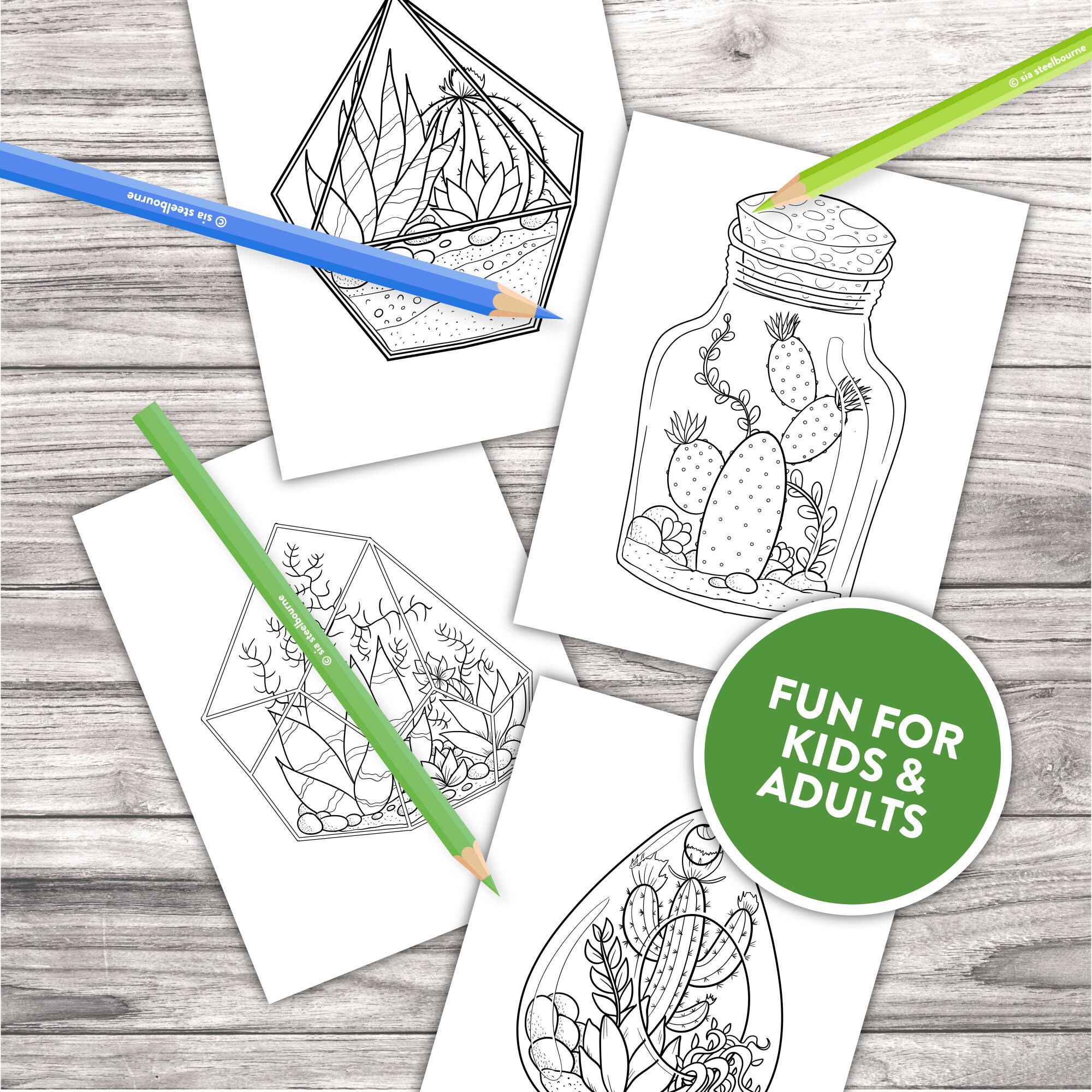 Terrarium Coloring Pages | 10 Cute Plant Designs (digital Download ...