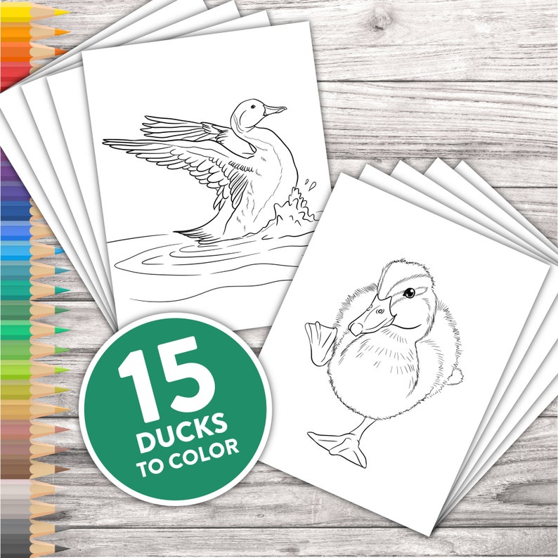 Duck Coloring Pages | 15 Printable Bird Designs (PDF) - Etsy