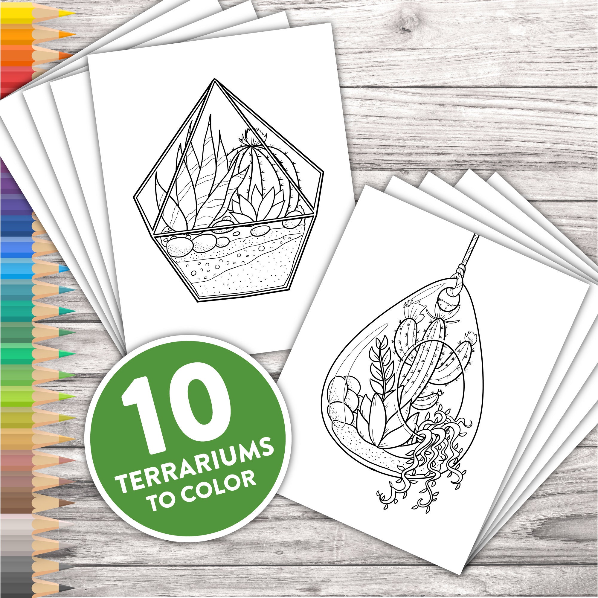 Terrarium Coloring Pages | Adult Coloring Book With Cute Plants - Etsy