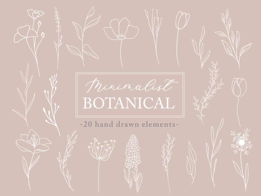 Botanical Clip Art, Botanical Elements, Line Art, Hand Drawn Floral ...